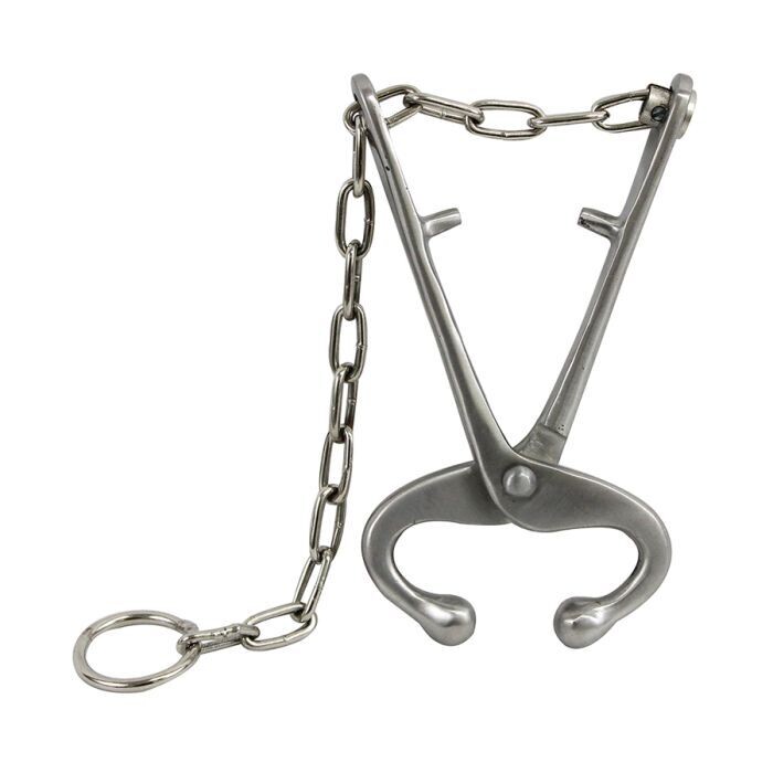 Coburn Cattle Nose Lead w/Chain