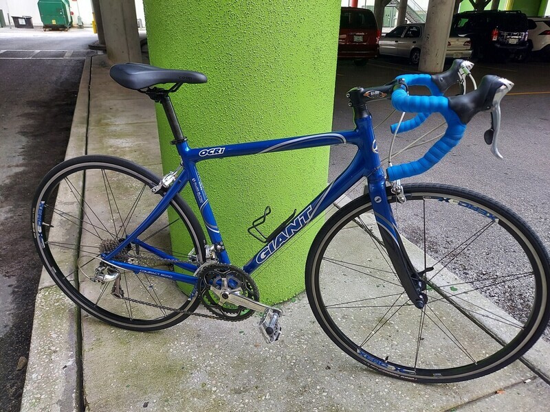 Giant OCR 1 (50cm)