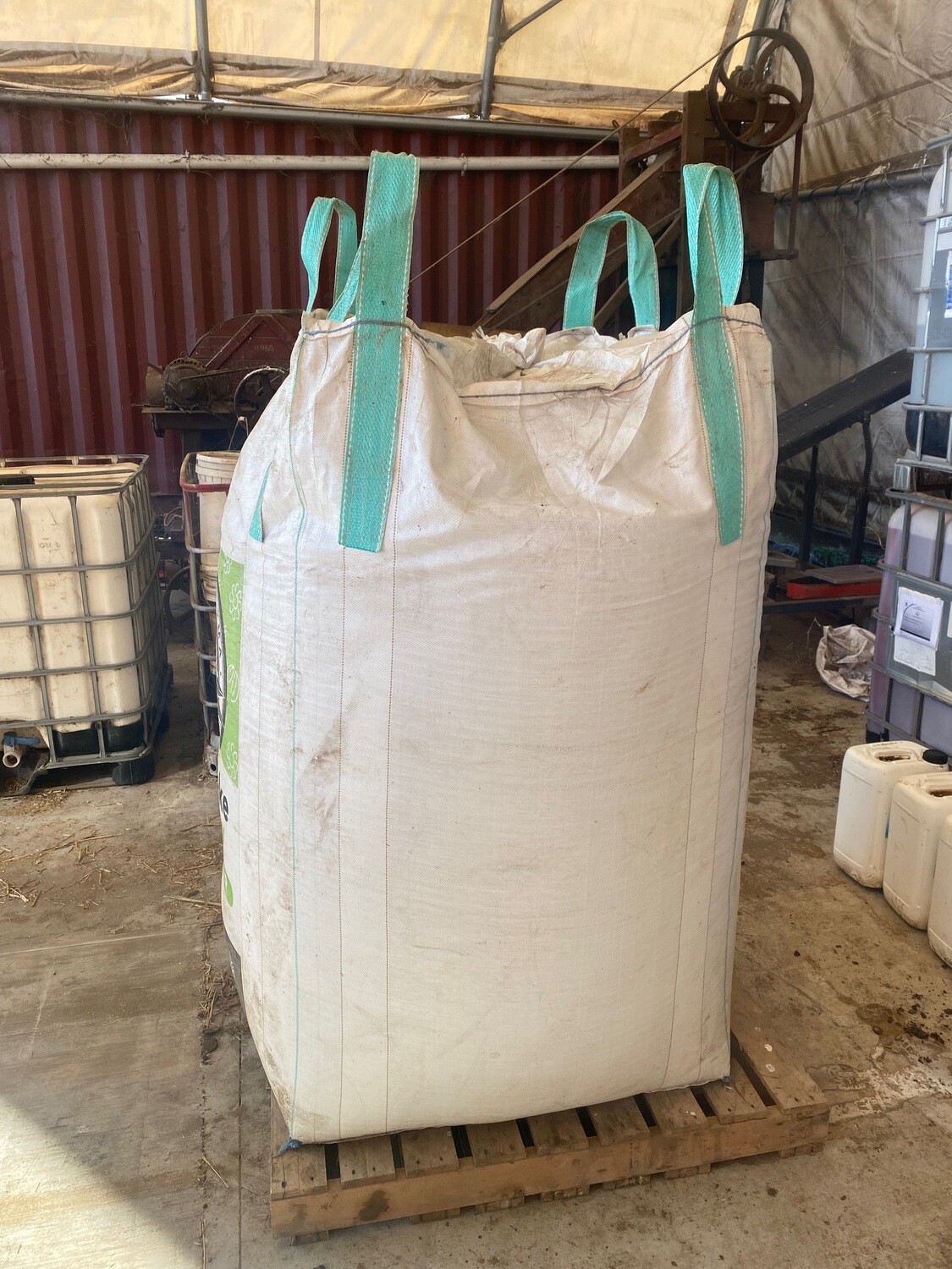 Graded Moby Forage Barley seed