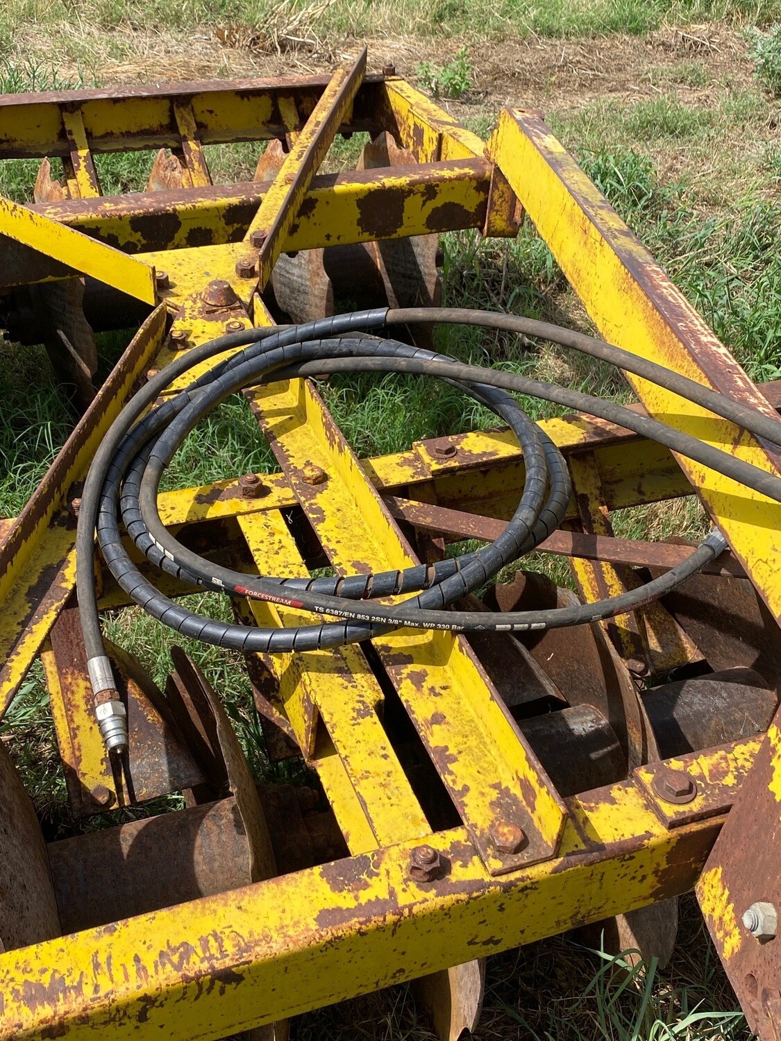 Connor shea "Baby Giant" Offset Discs