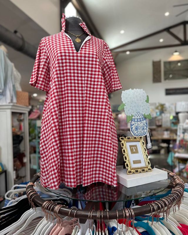 Olivia Dress-Red Seer Gingham