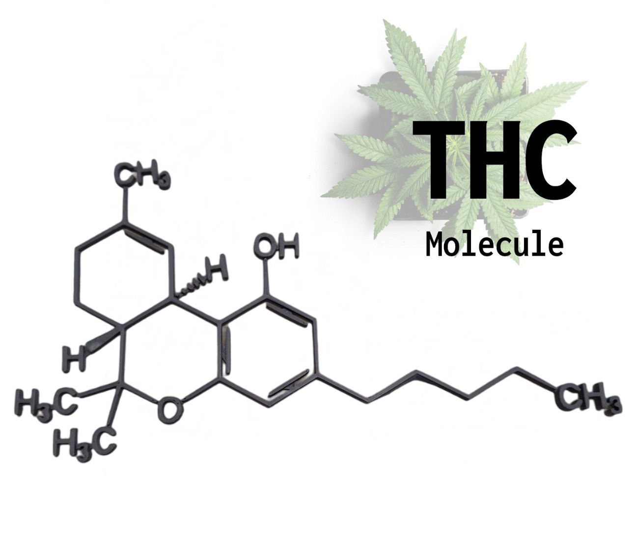 THC Molecule Wall Art