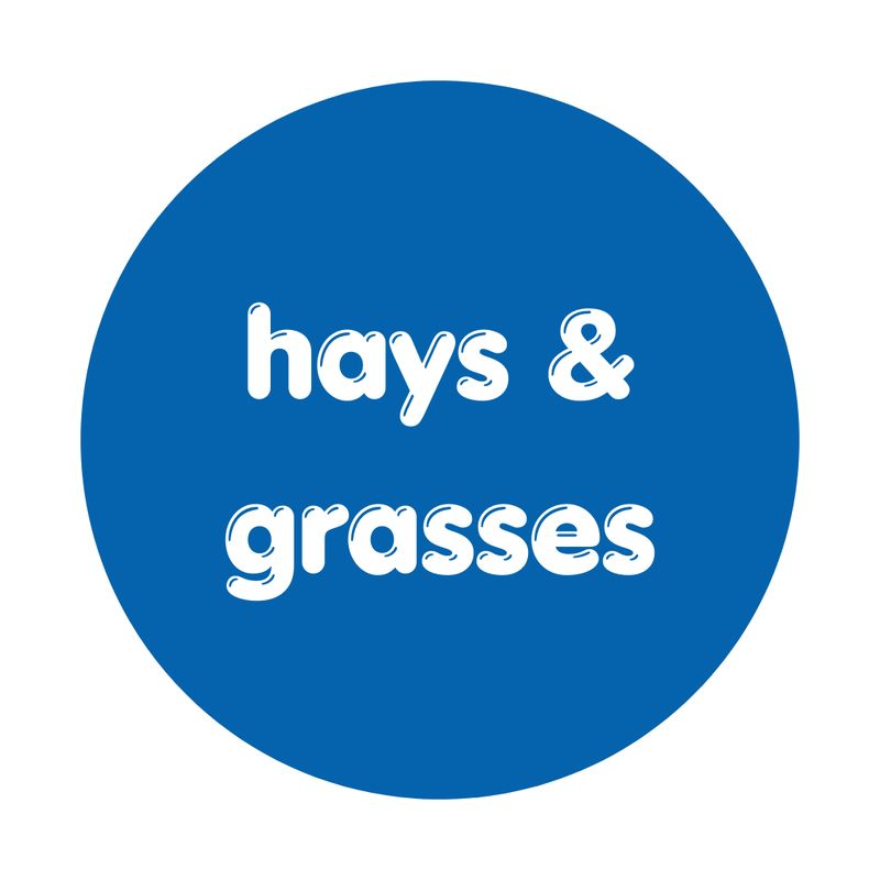 Small Animal Hays & Grasses
