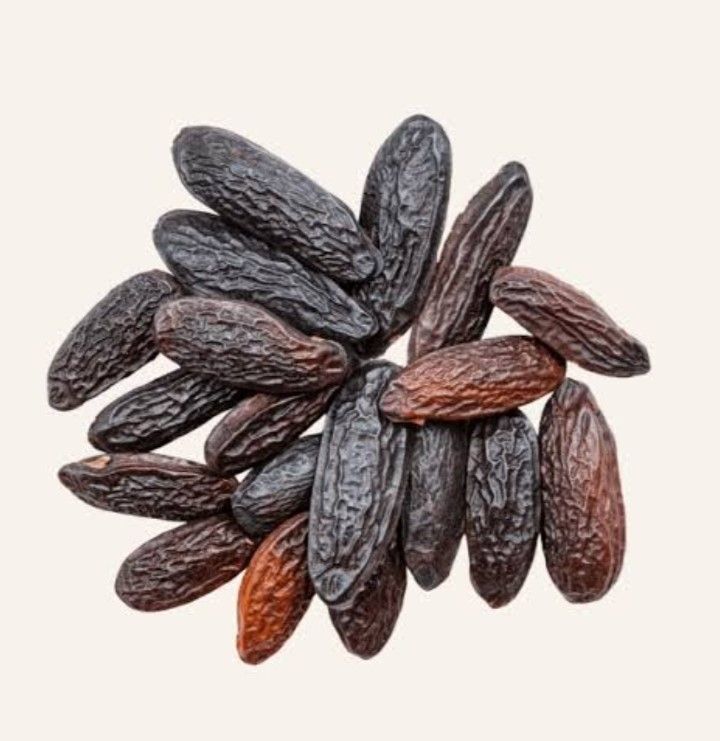 Tonka Bean Absolute gourmand coumarin pure natural perfumery