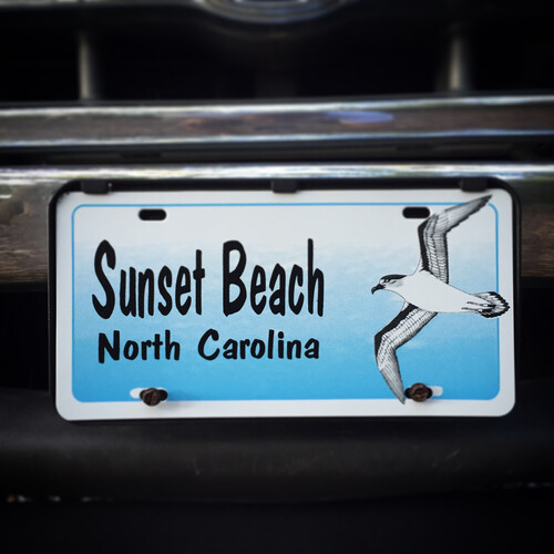 SIDE SEAGULL LICENSE PLATE