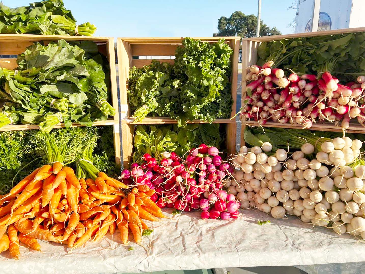 Full Quiver Farm Store – Full Quiver Farm