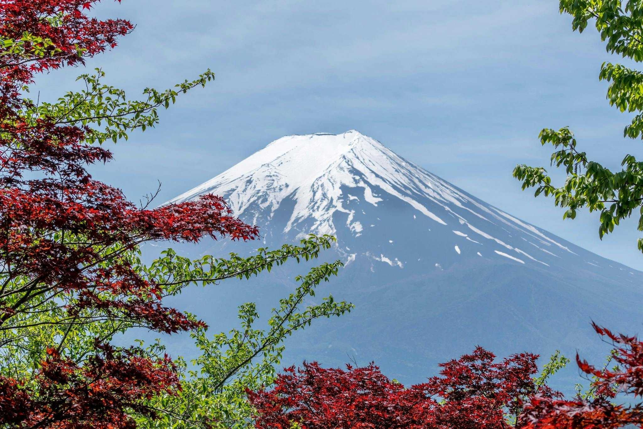 mount fuji article