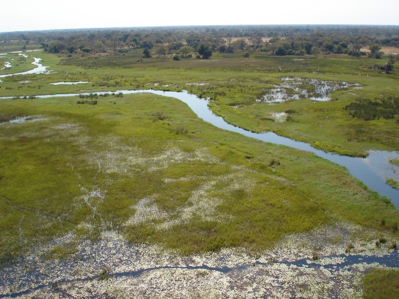 ULTRA-WILD AFRICAN SAFARIS