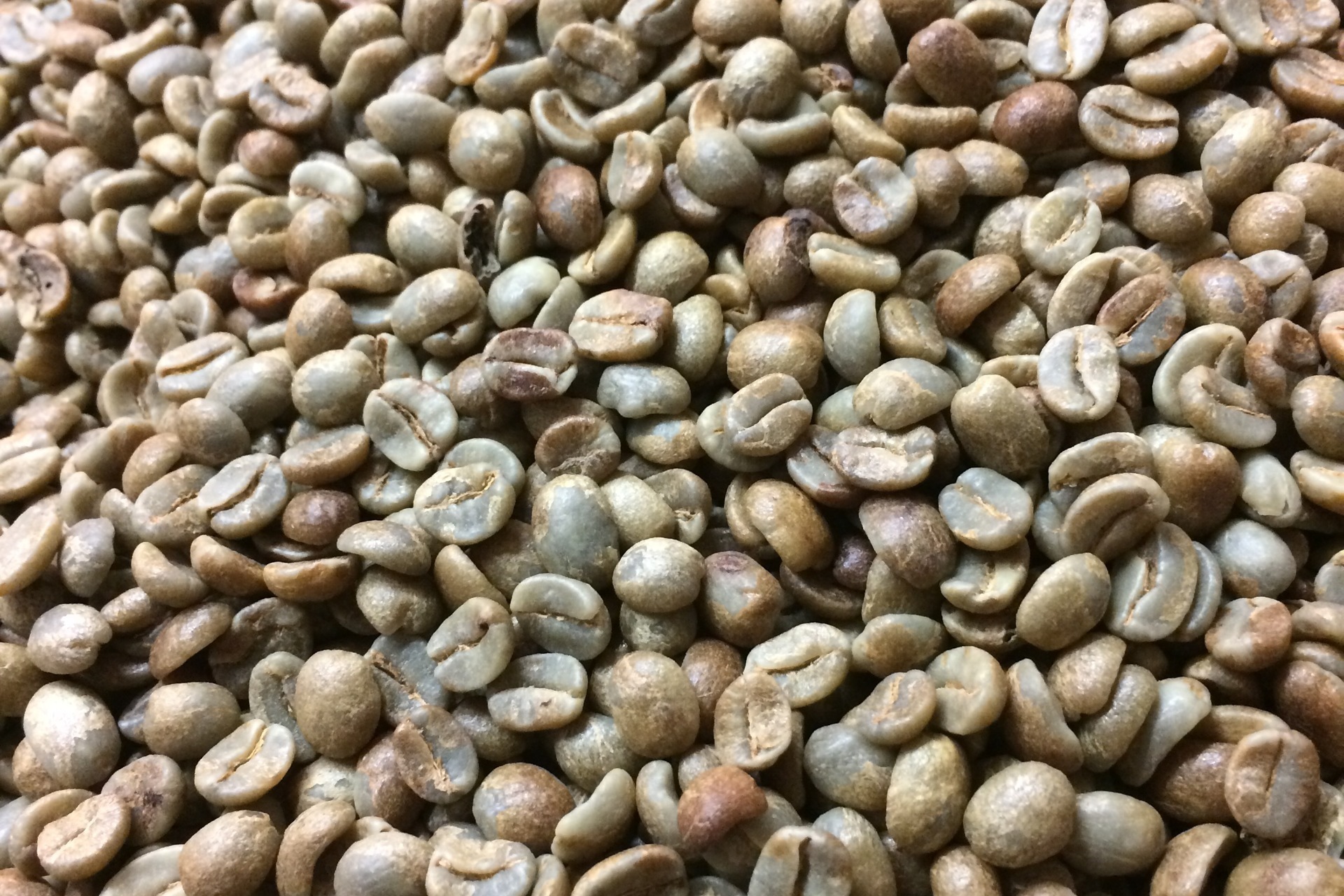 PICKWICK COFFEE ROASTERS