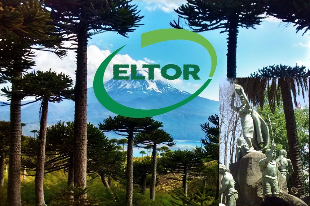 ELTOR Distribuciones