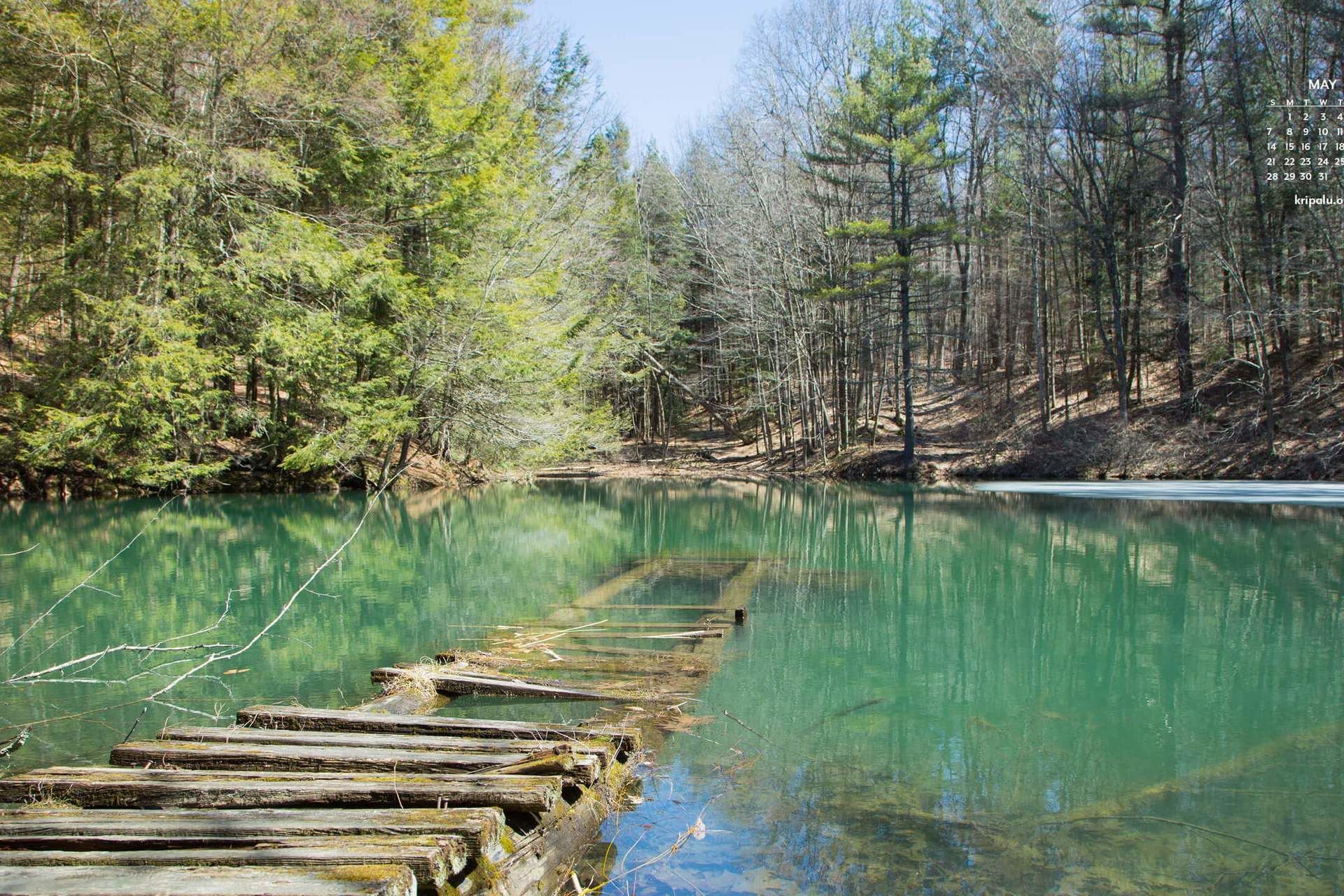 Enviro-Solutions Training