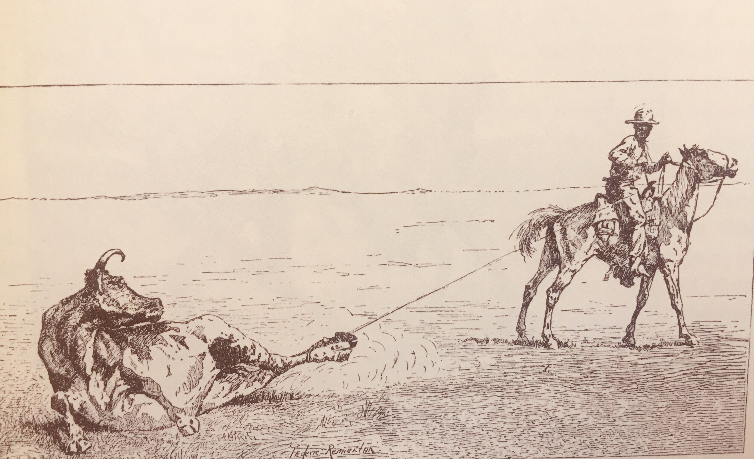 Robert Teskey Saddlery