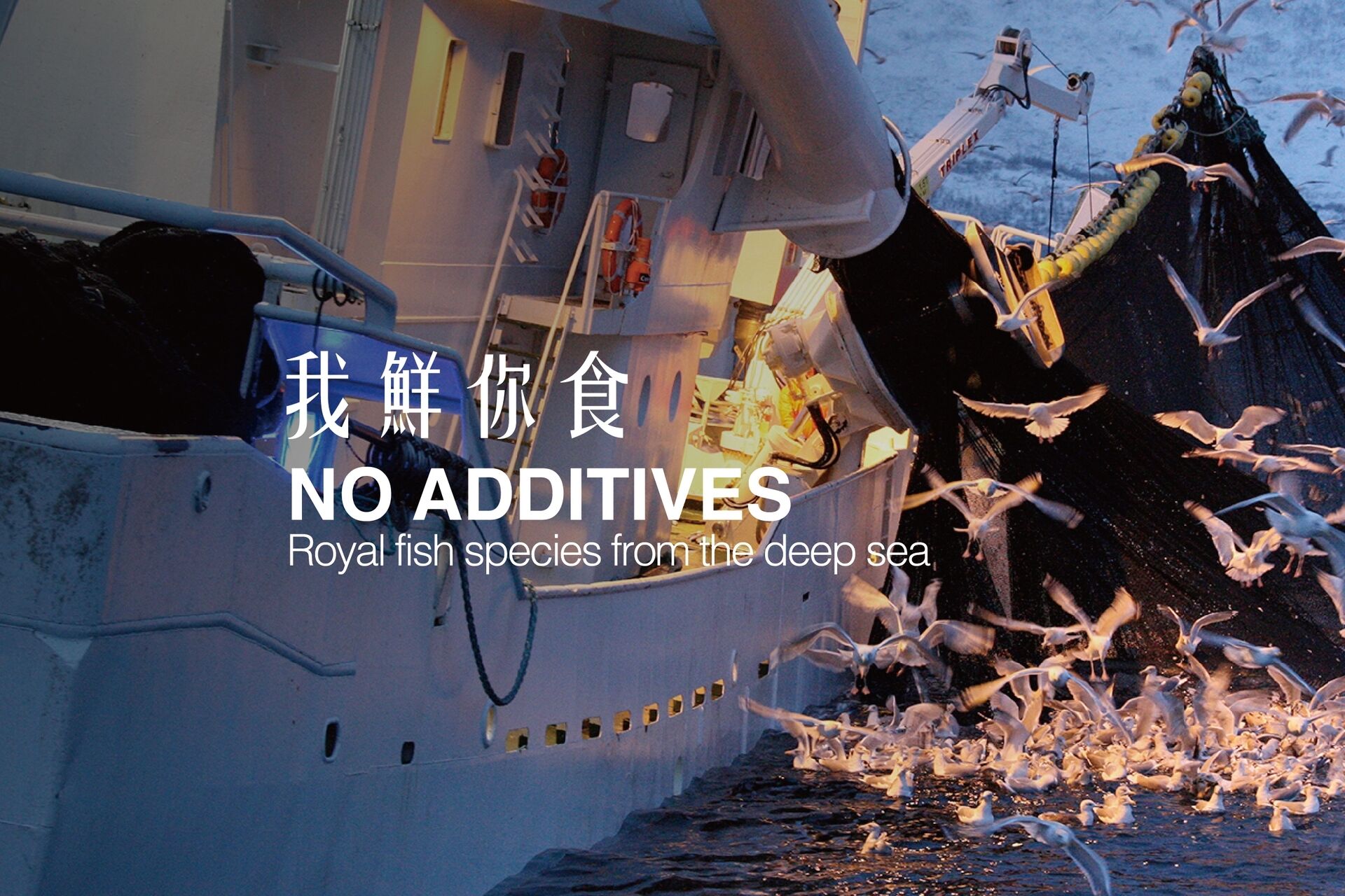 我鮮商店 OCEANESH SHOP