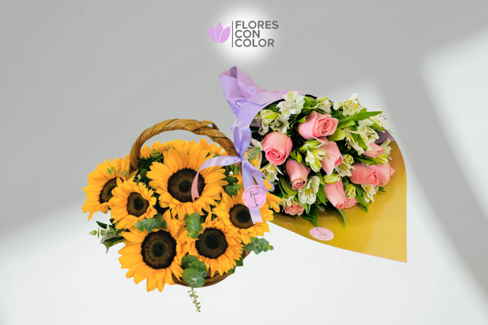 FLORERIA FLORES CON COLOR