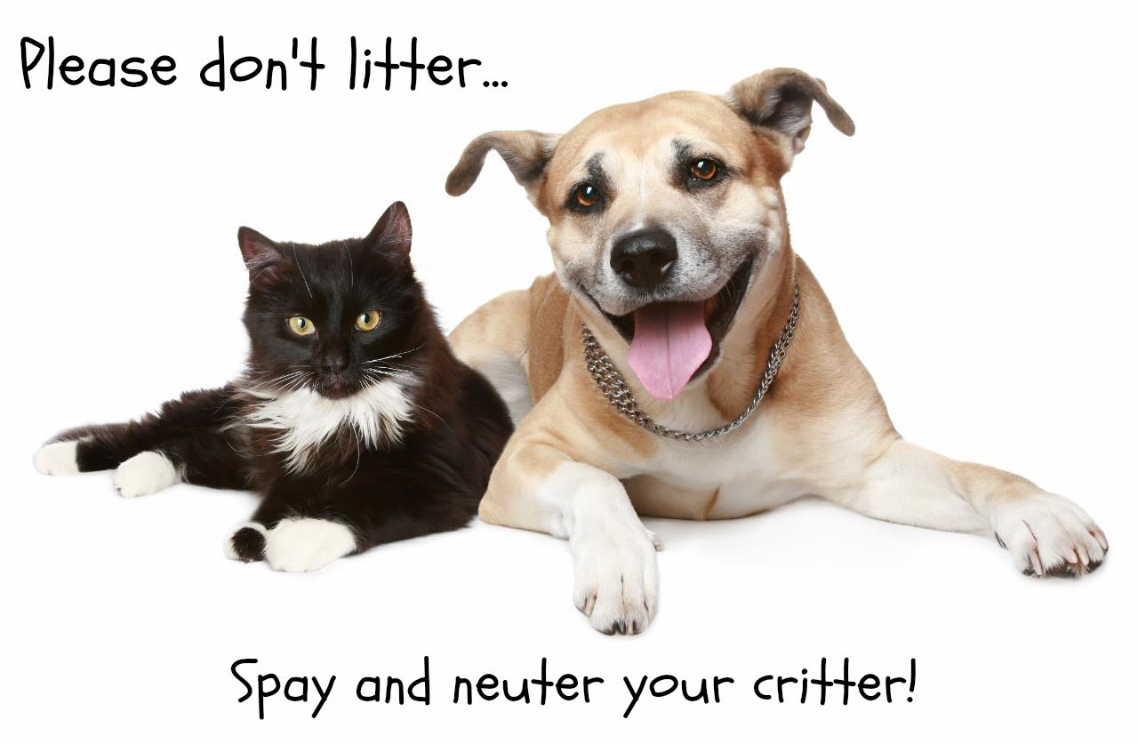 Critters Without Litters