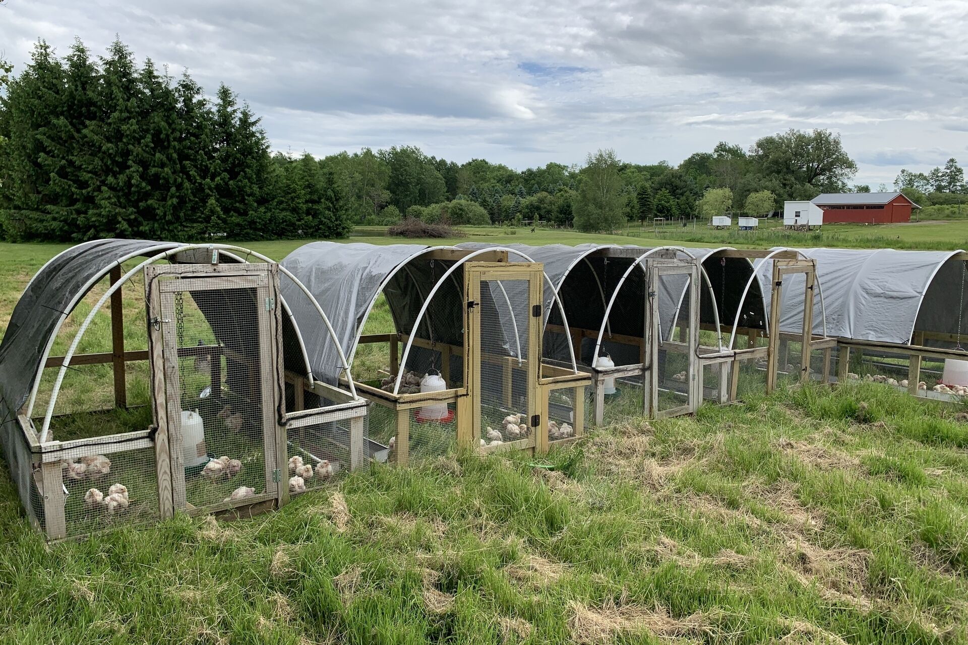 Copley's Fresh Start Farm