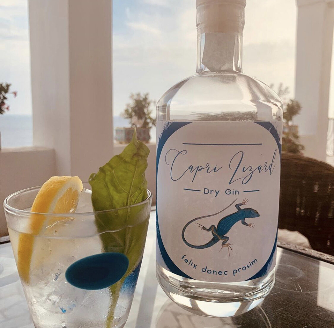 Capri Lizard Gin® - get the experience