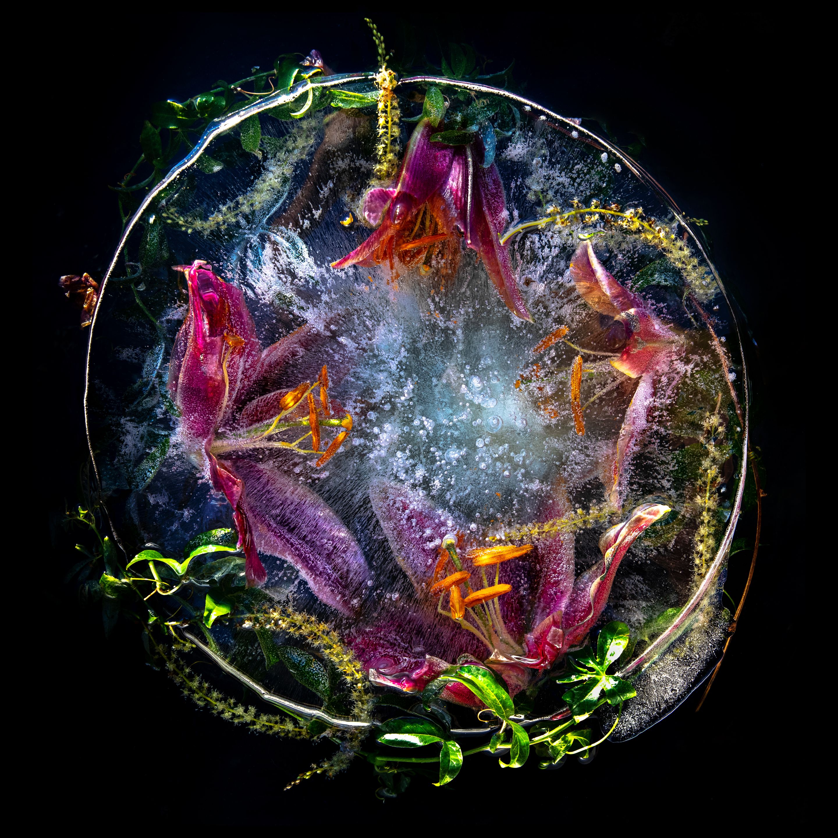 Bruce Boyd Photography