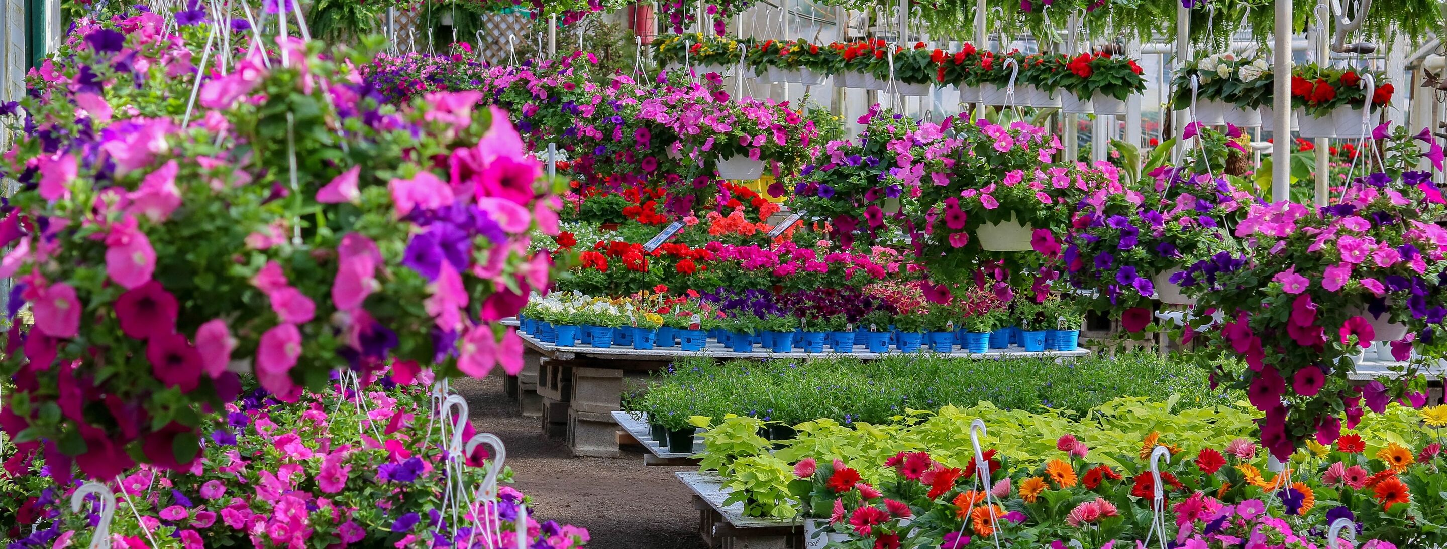 Whiteford Greenhouse