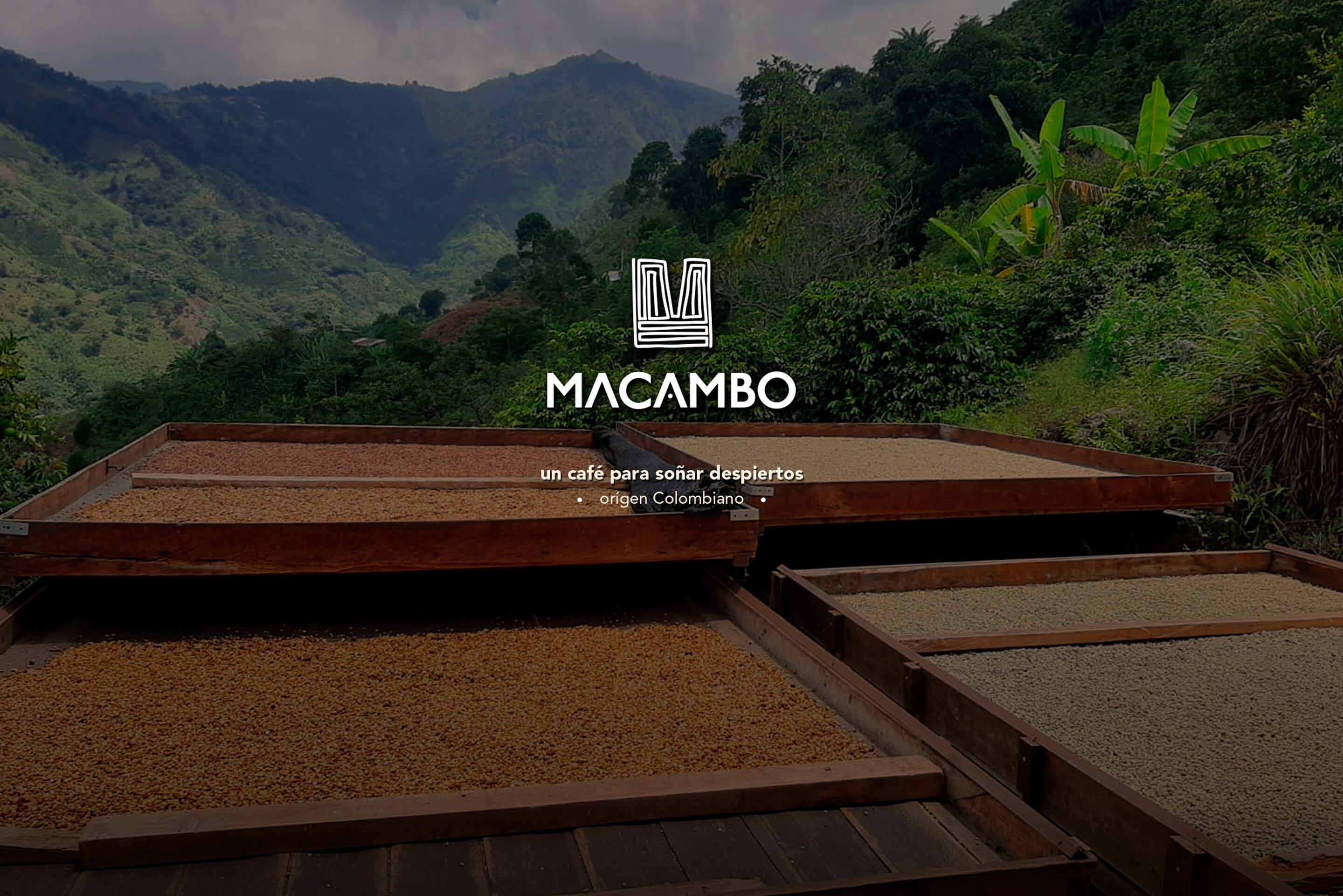 Macambo coffee