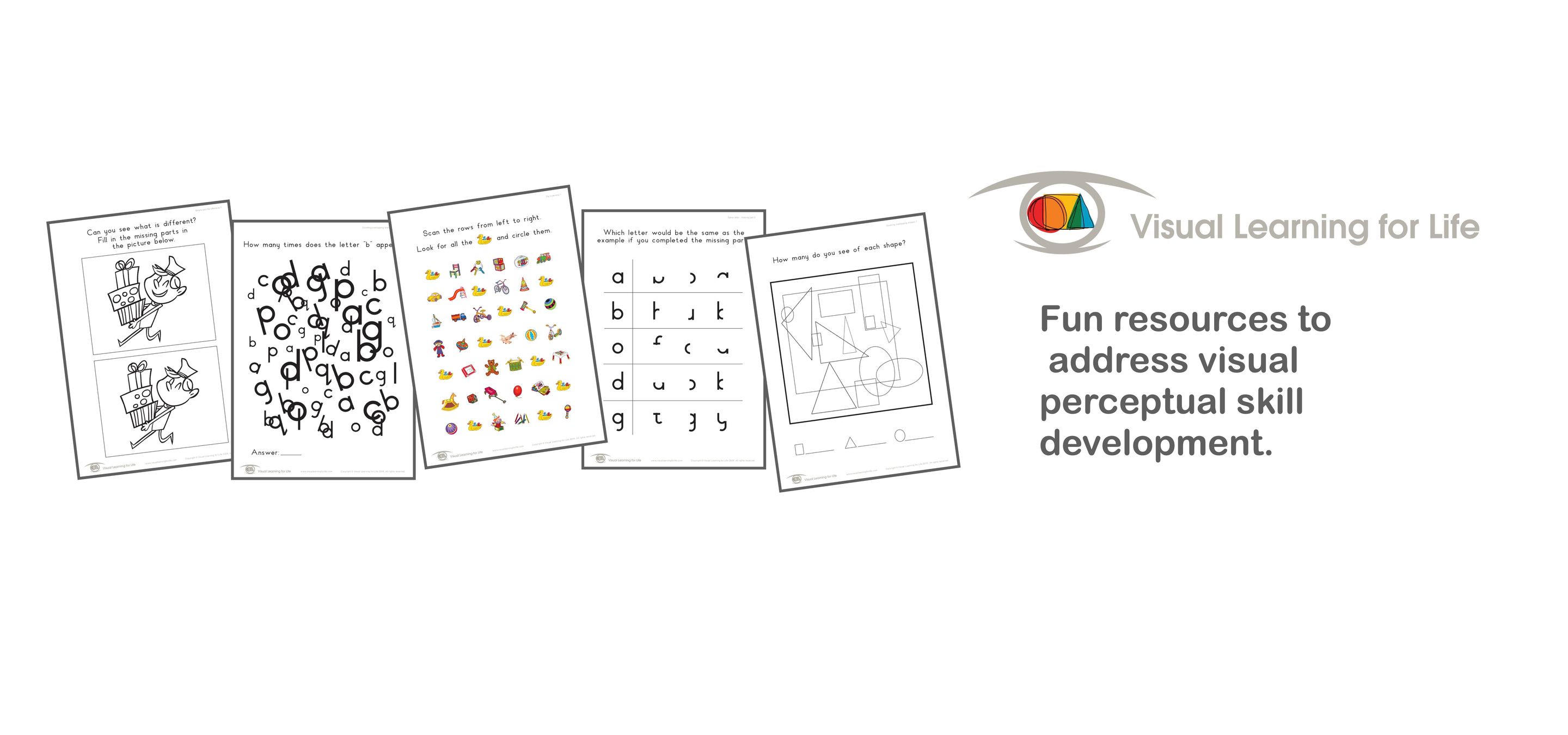 Visual Learning for Life