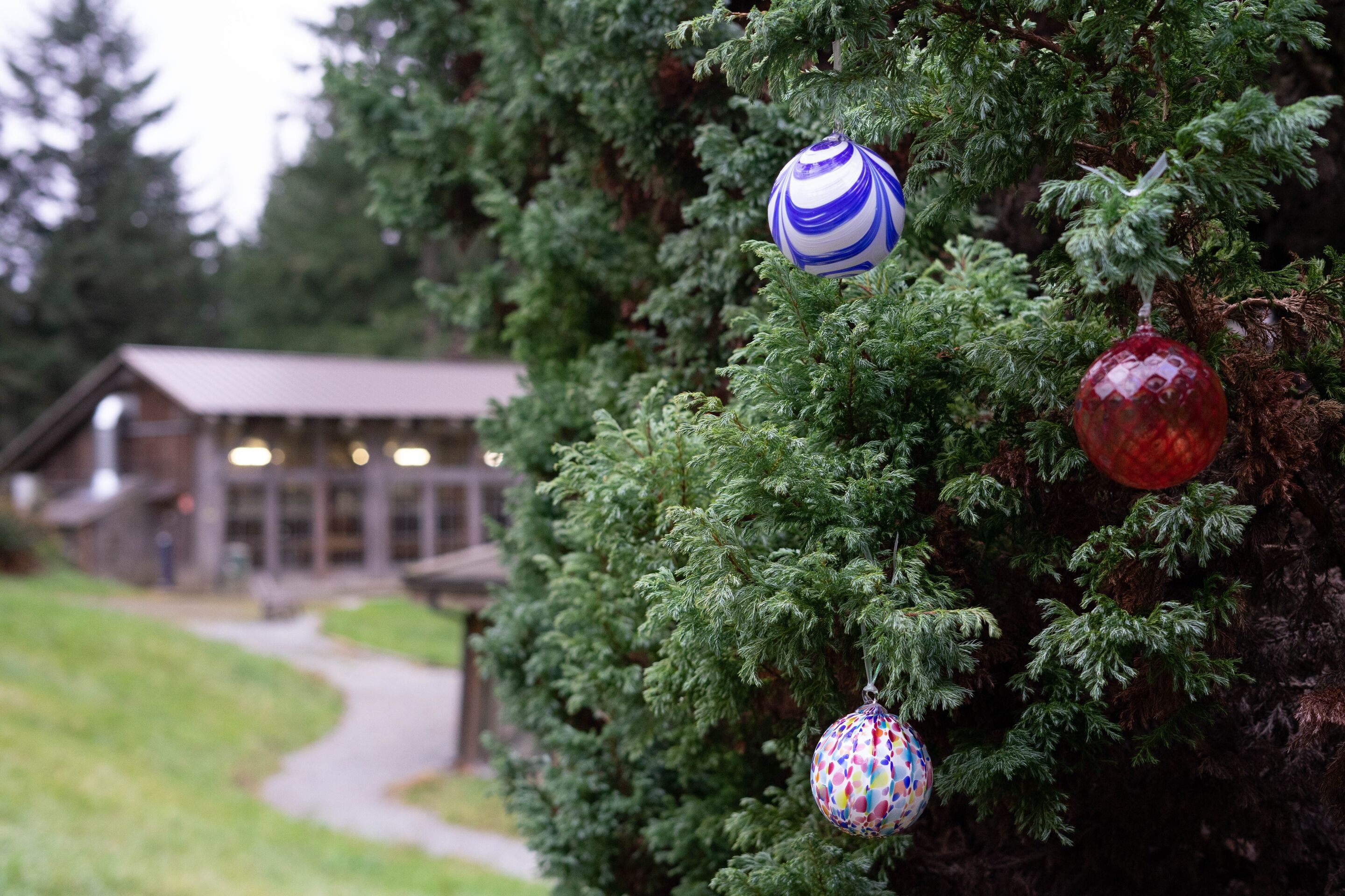 PILCHUCK GLASS SCHOOL