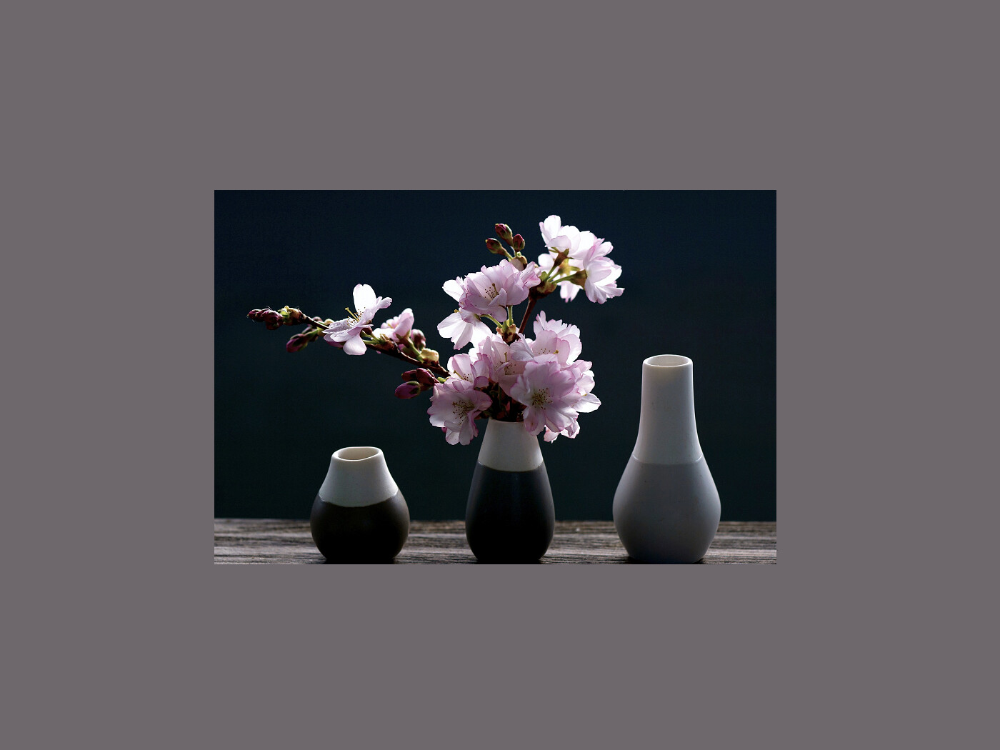 Welcome to Tomono-Kai Shop