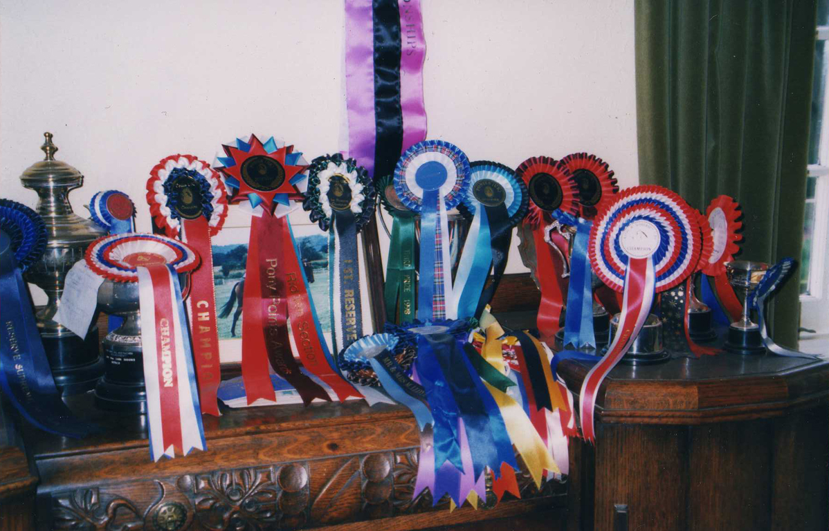 Display Your Rosettes UK