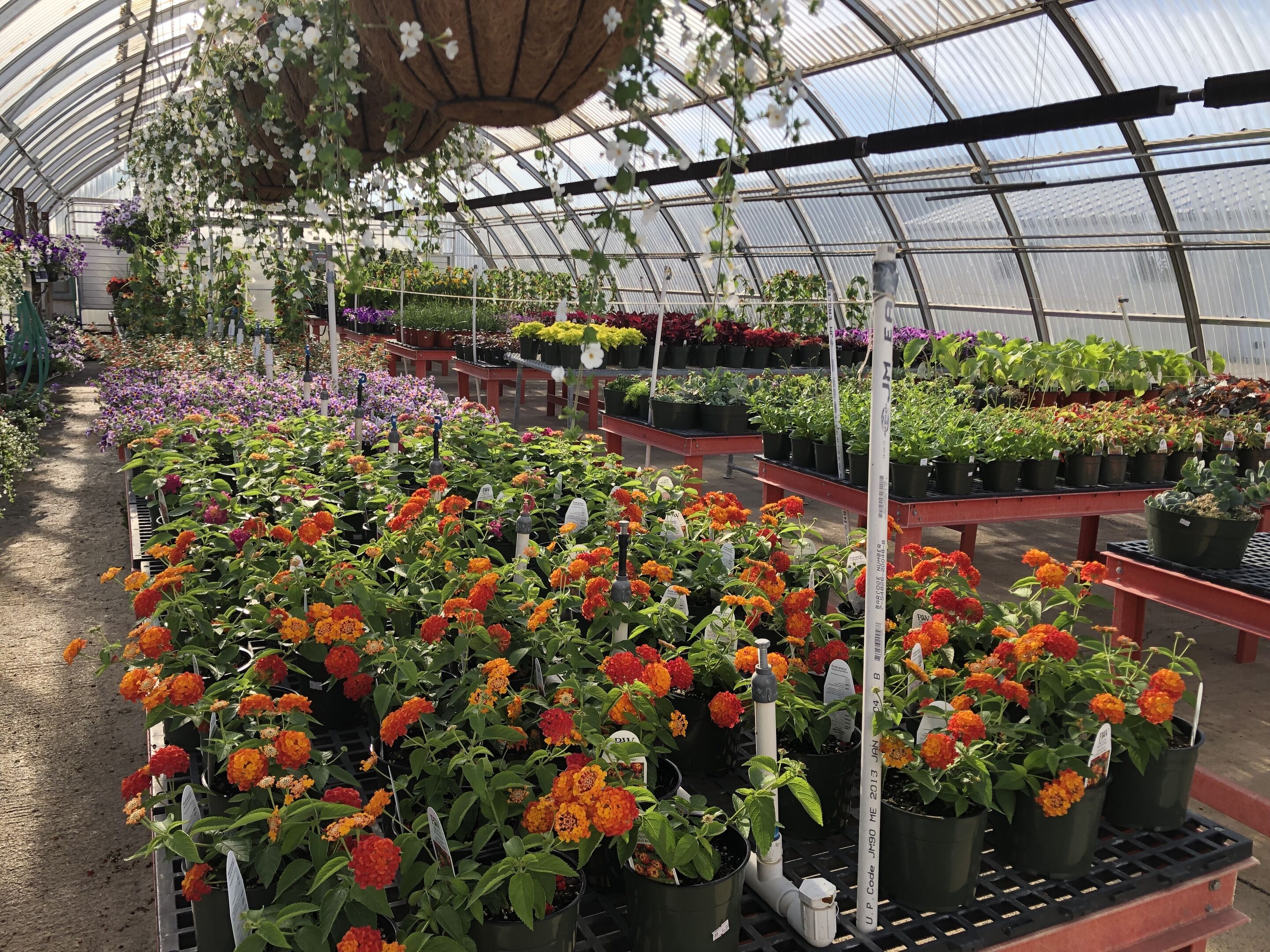 Horticulture Club at Virginia Tech