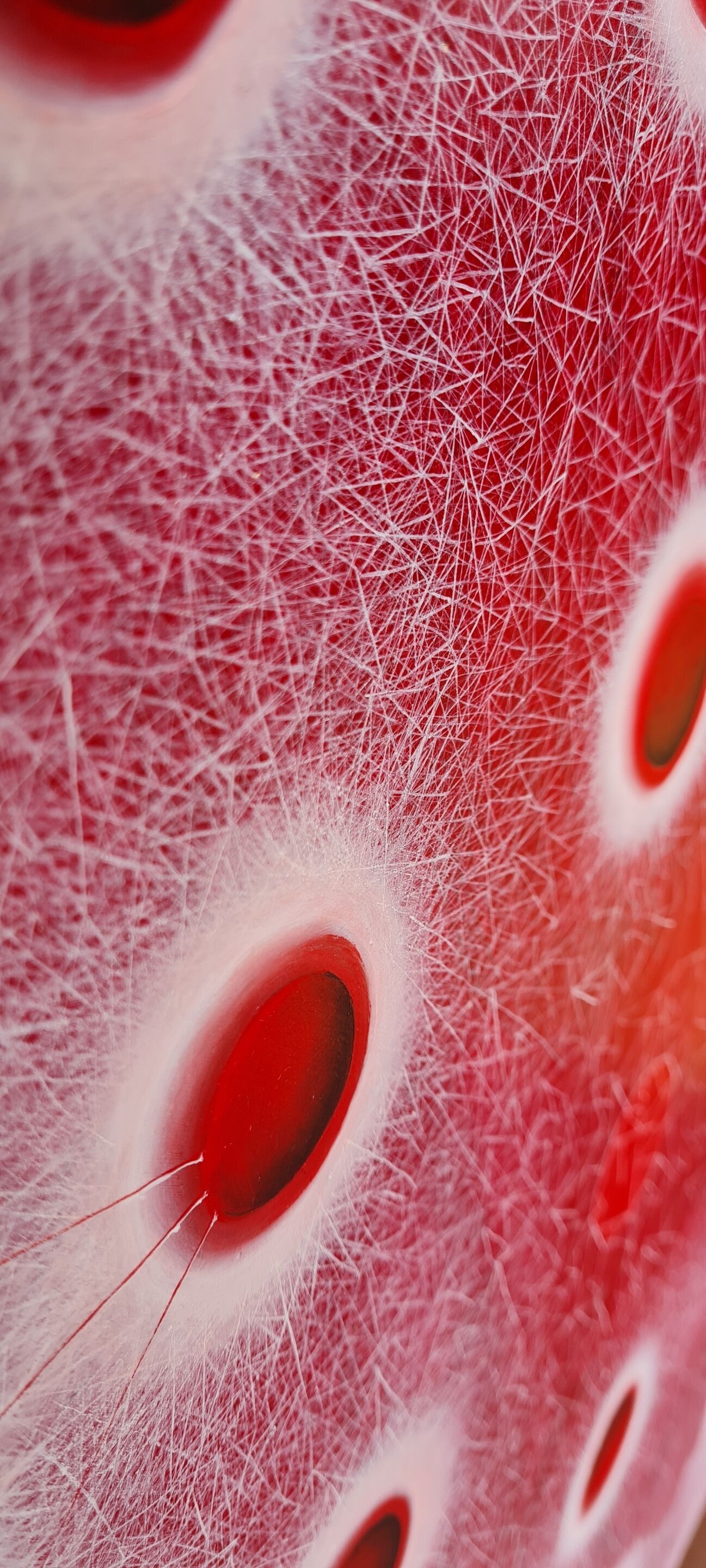 tamantha williams | art