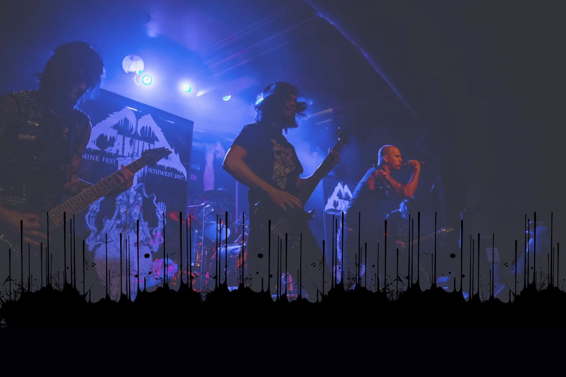 Petrification Online Store