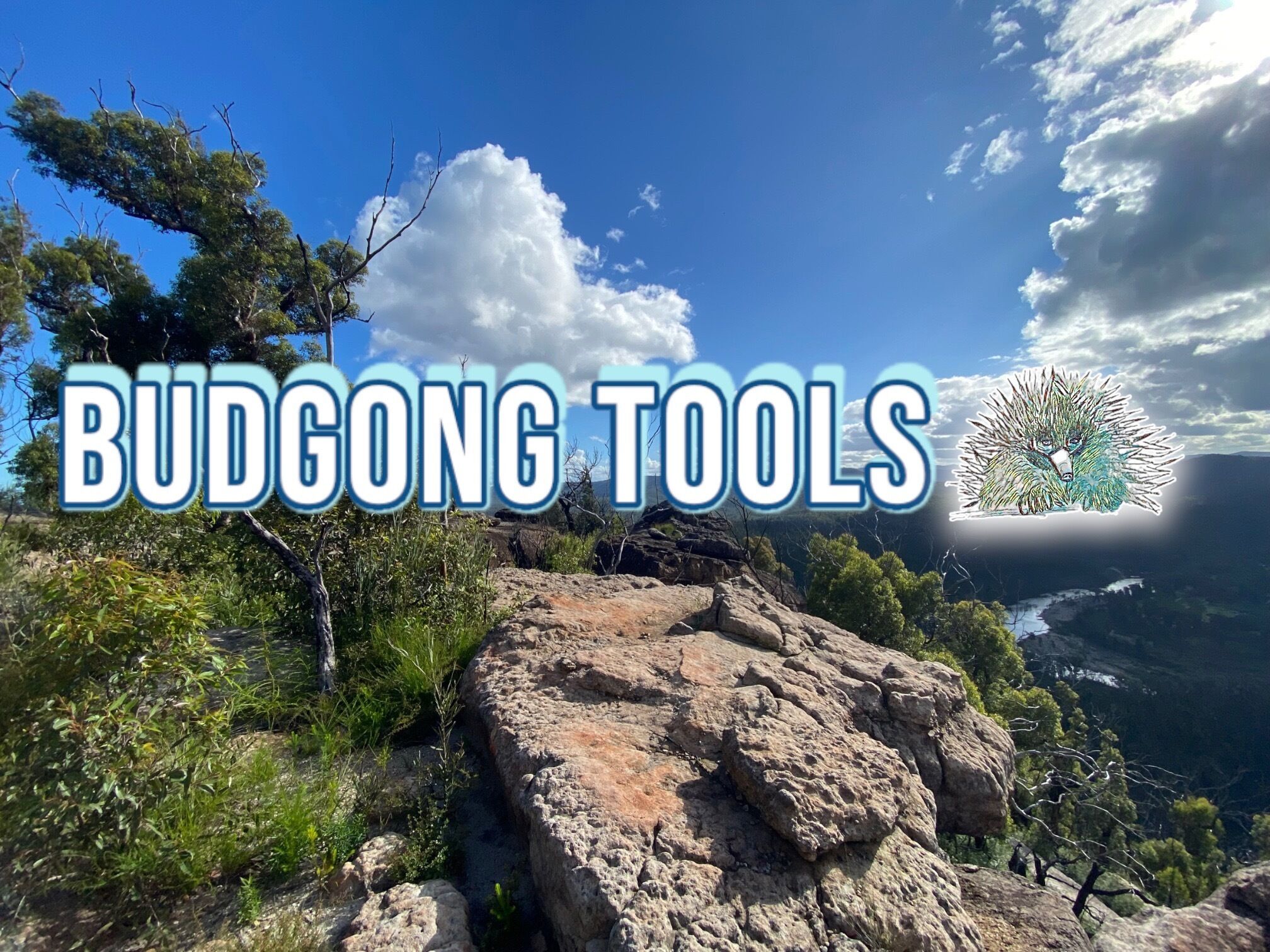 Budgong Tools