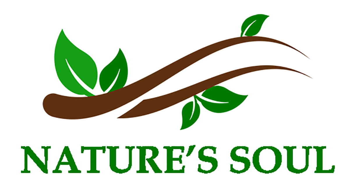 Nature's Soul - Organic & Natural Food Store